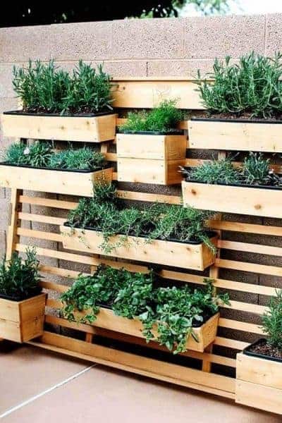 Aromatic Herbal Garden Trends and Ideas – eDecorTrends